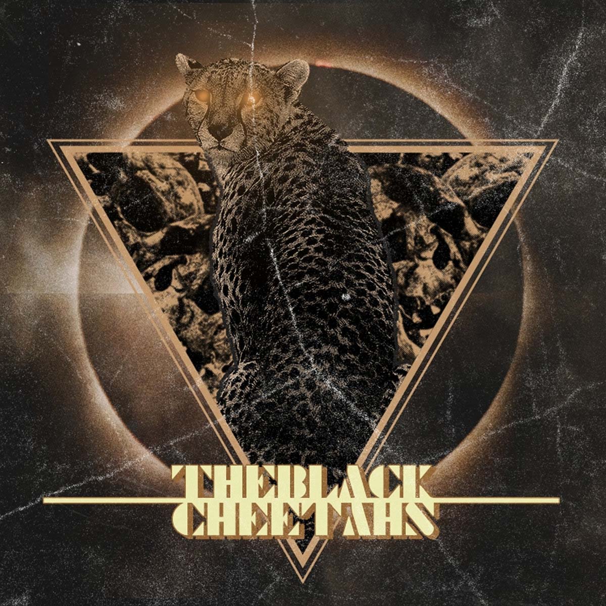 Berlin garage rock/post-punk/industrial band The Black Cheetahs ...