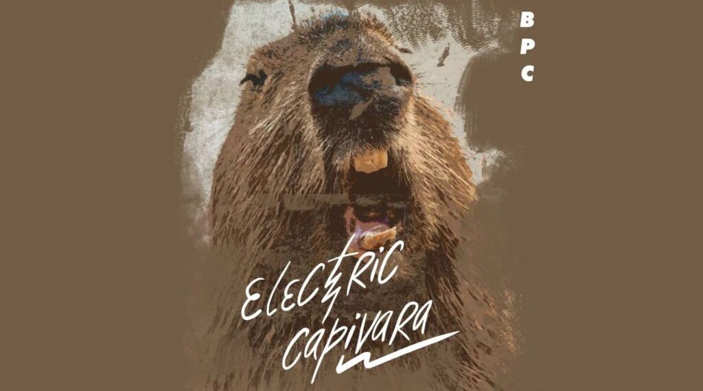 Brazilian instrumental rockers Electric Capivara dropped their debut ...