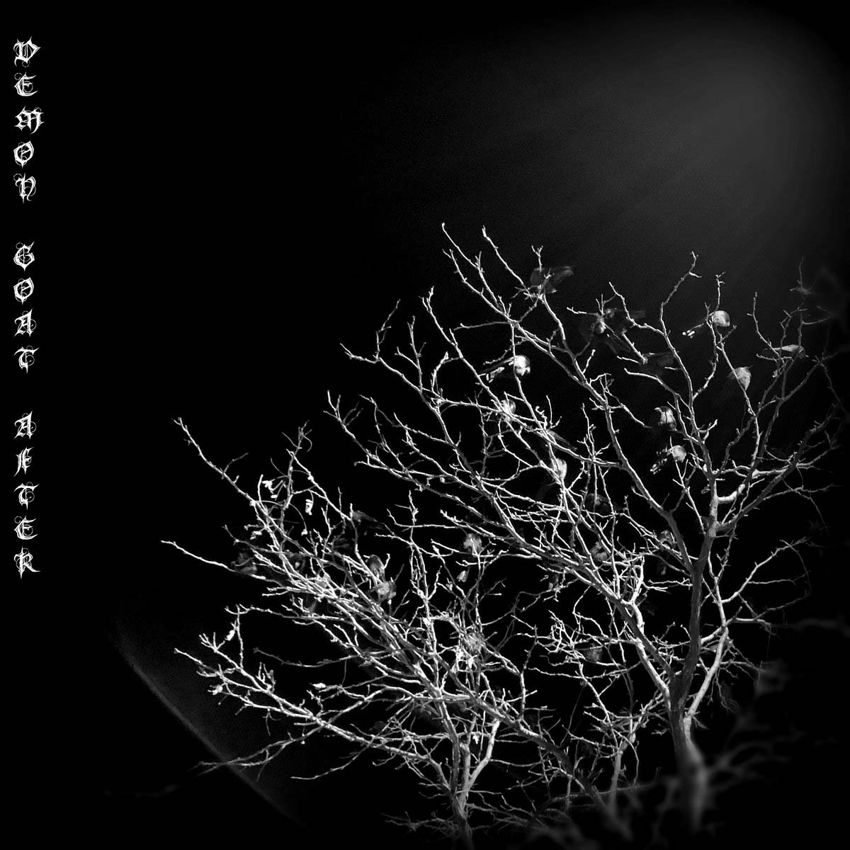 American one-man black/doom/sludge metal band Demon Goat presents new ...