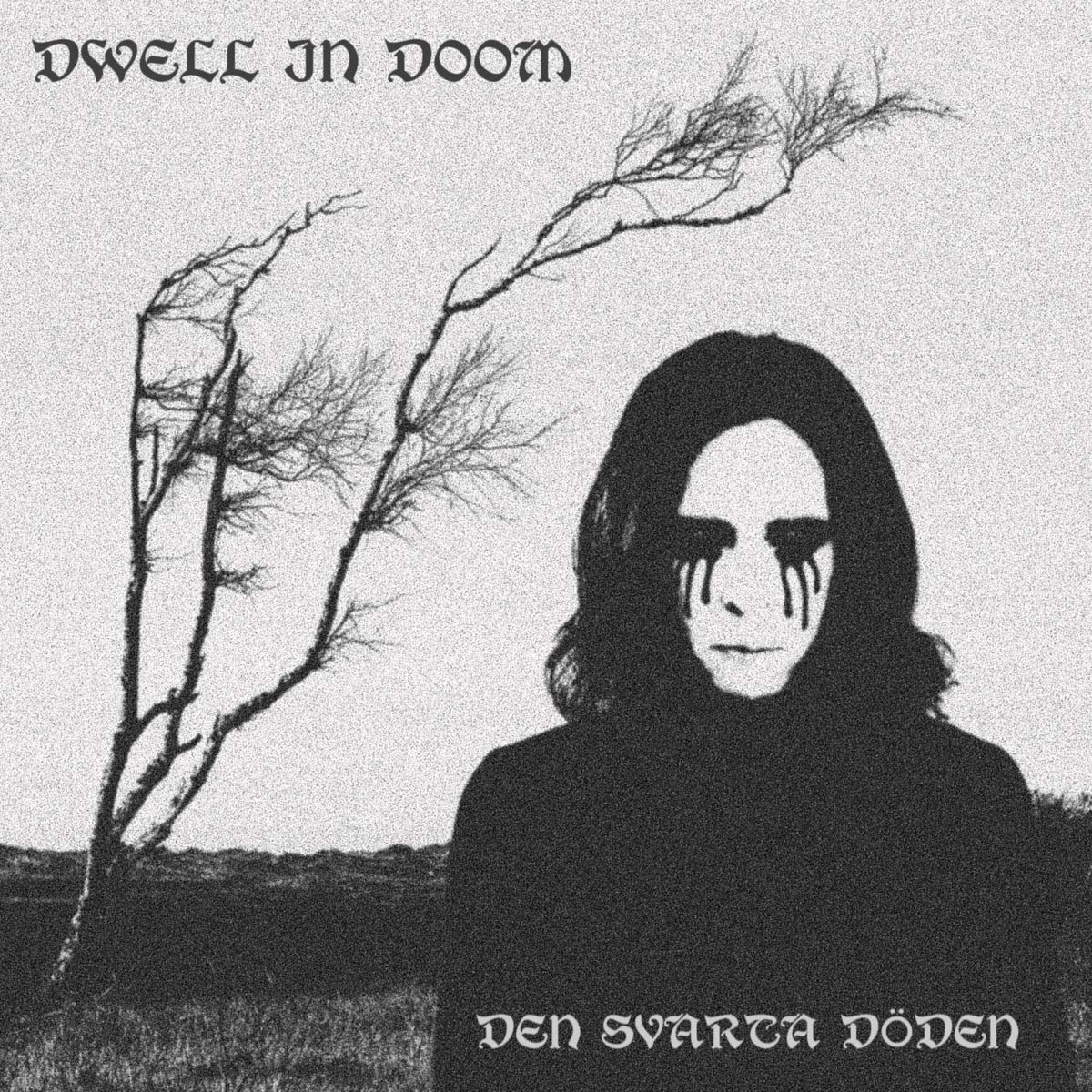 Swedish gothic/doom metal solo project Dwell In Doom drops new music ...