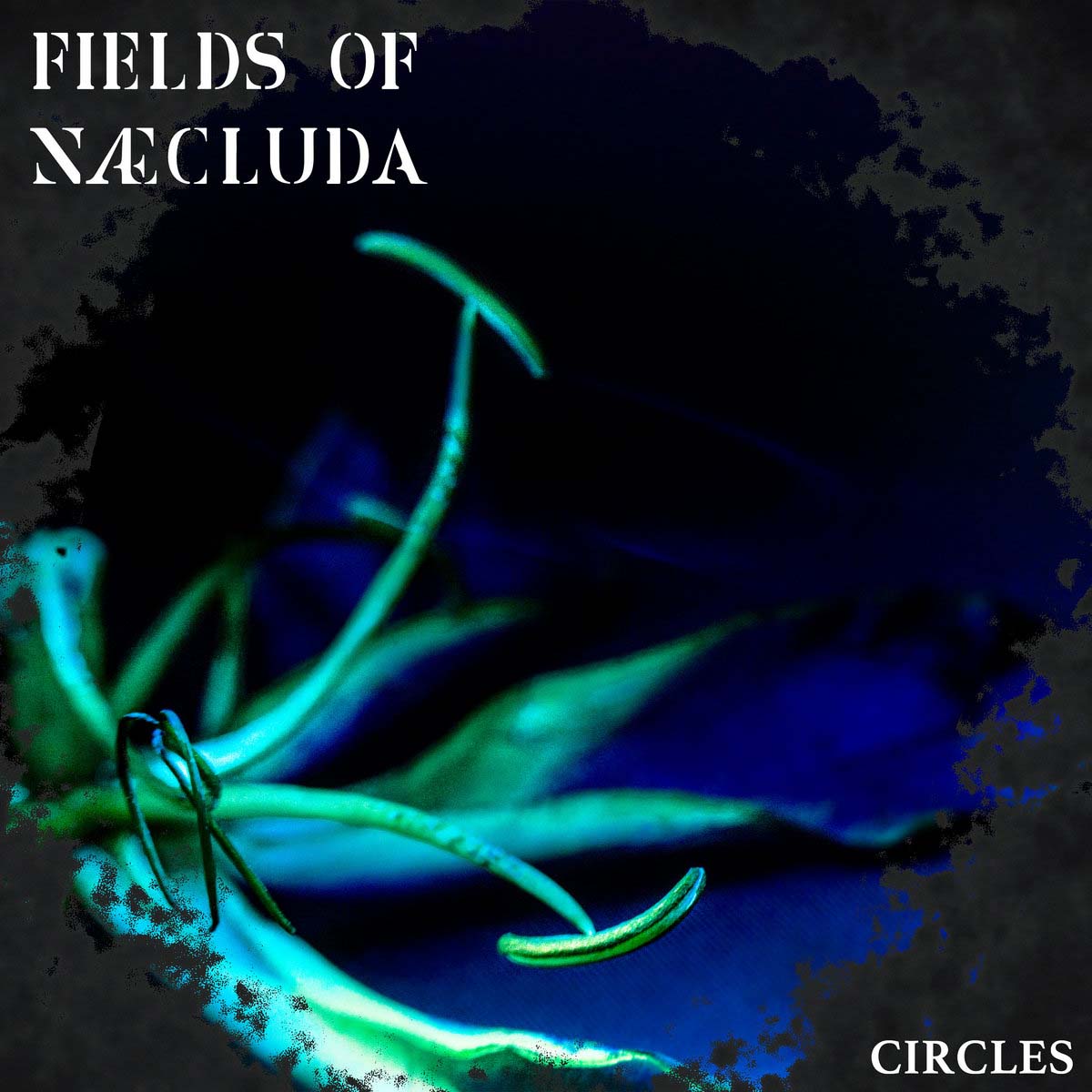 French progressive/post-rock trio Fields Of Næcluda unveil new single ...