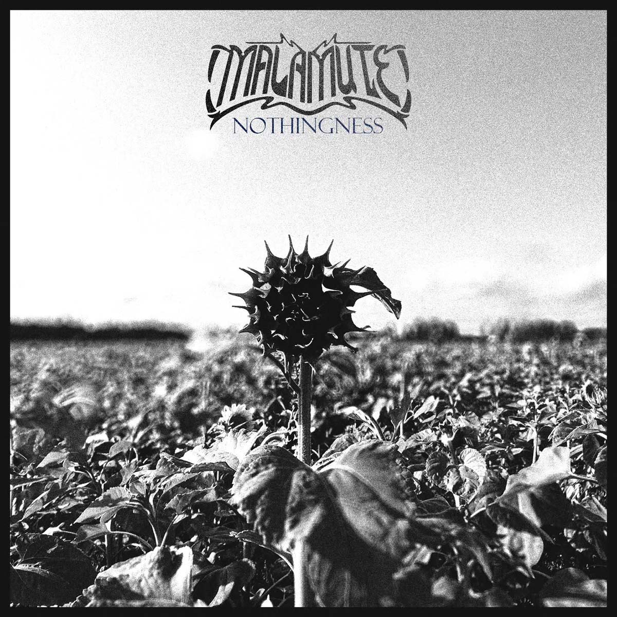 Listen to the latest single »Nothingness« by Finnish progressive/stoner ...