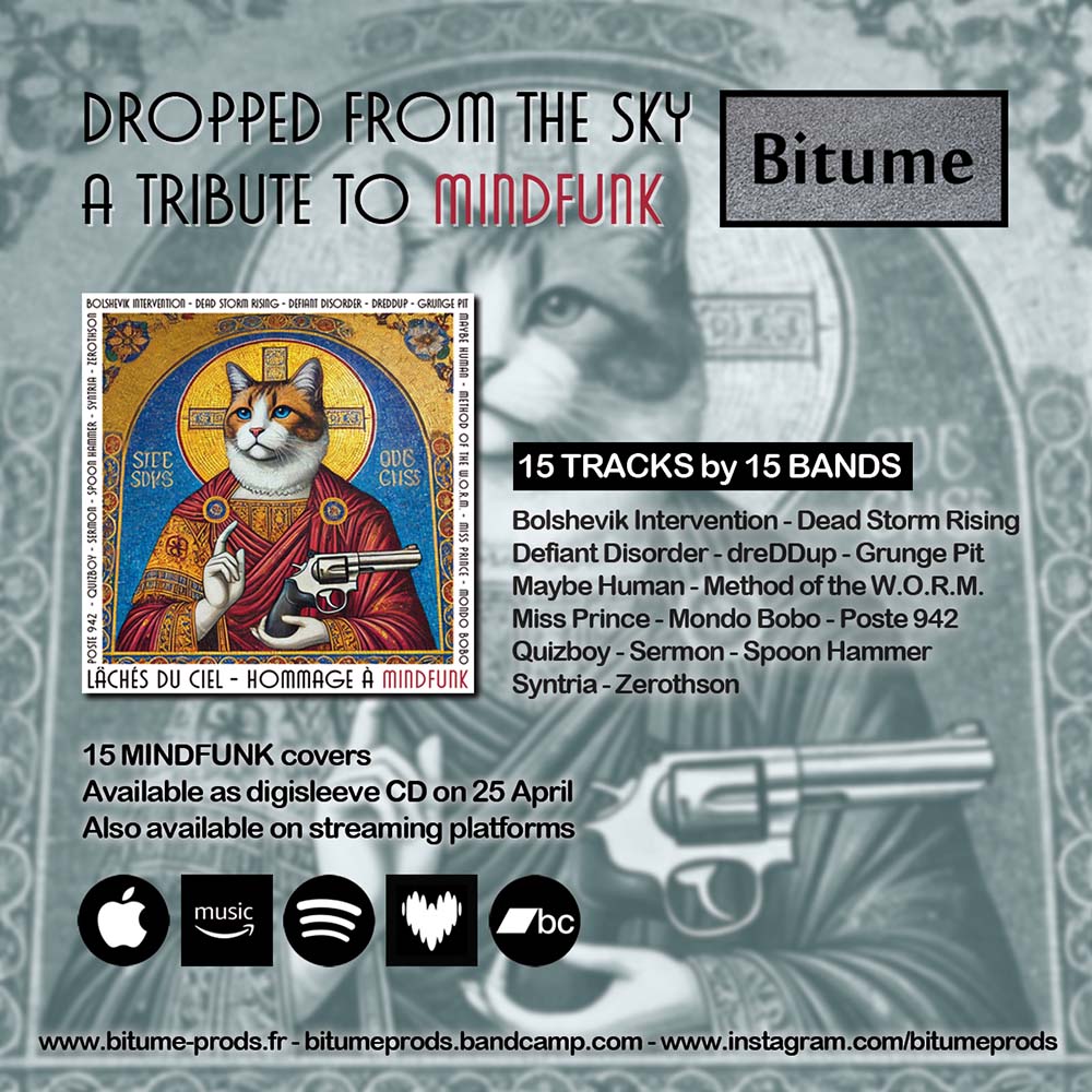 »Dropped From The Sky – A Tribute To Mindfunk« compilation out today on ...