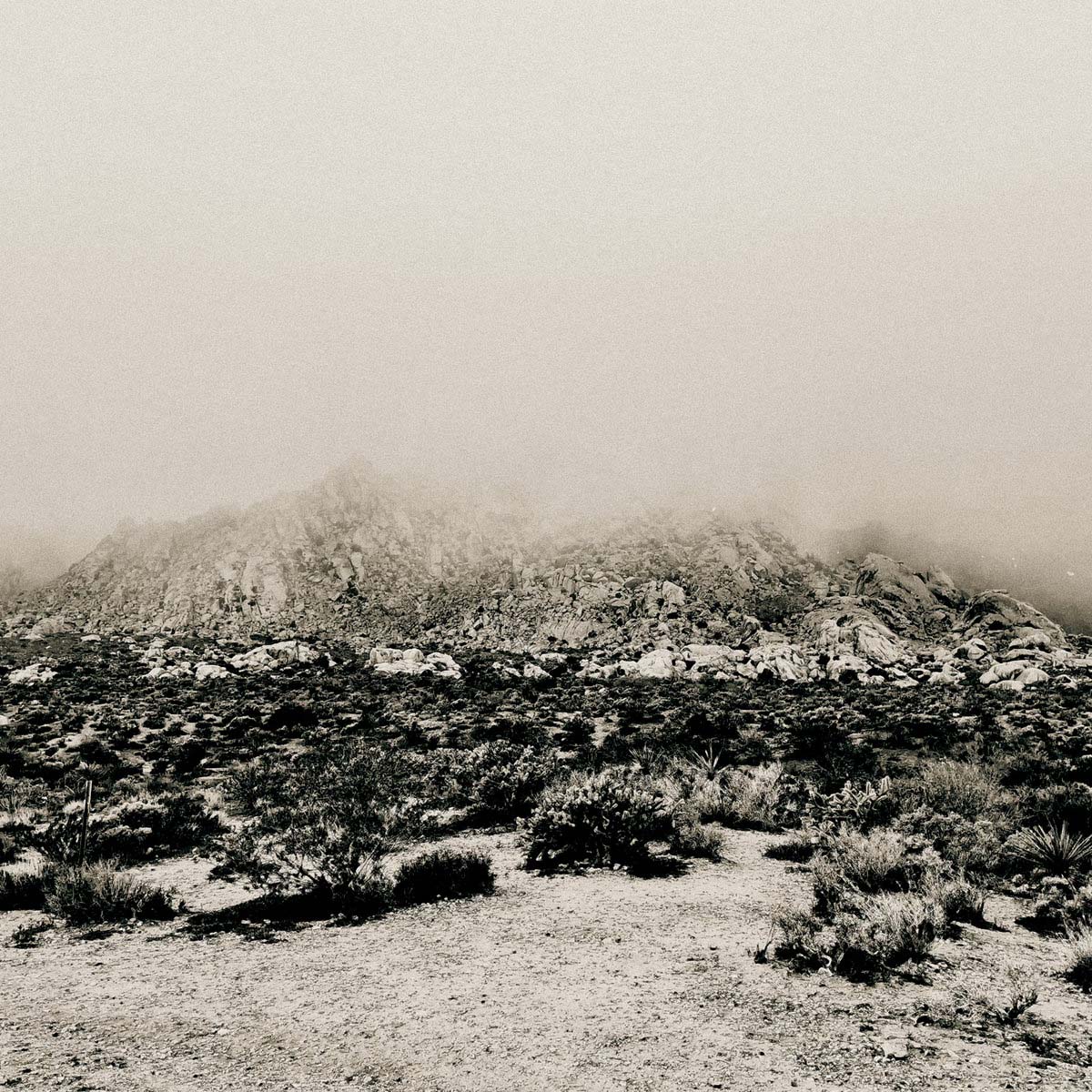 US blackened doom metal band Mizmor releases second single »Mnemonic VI ...