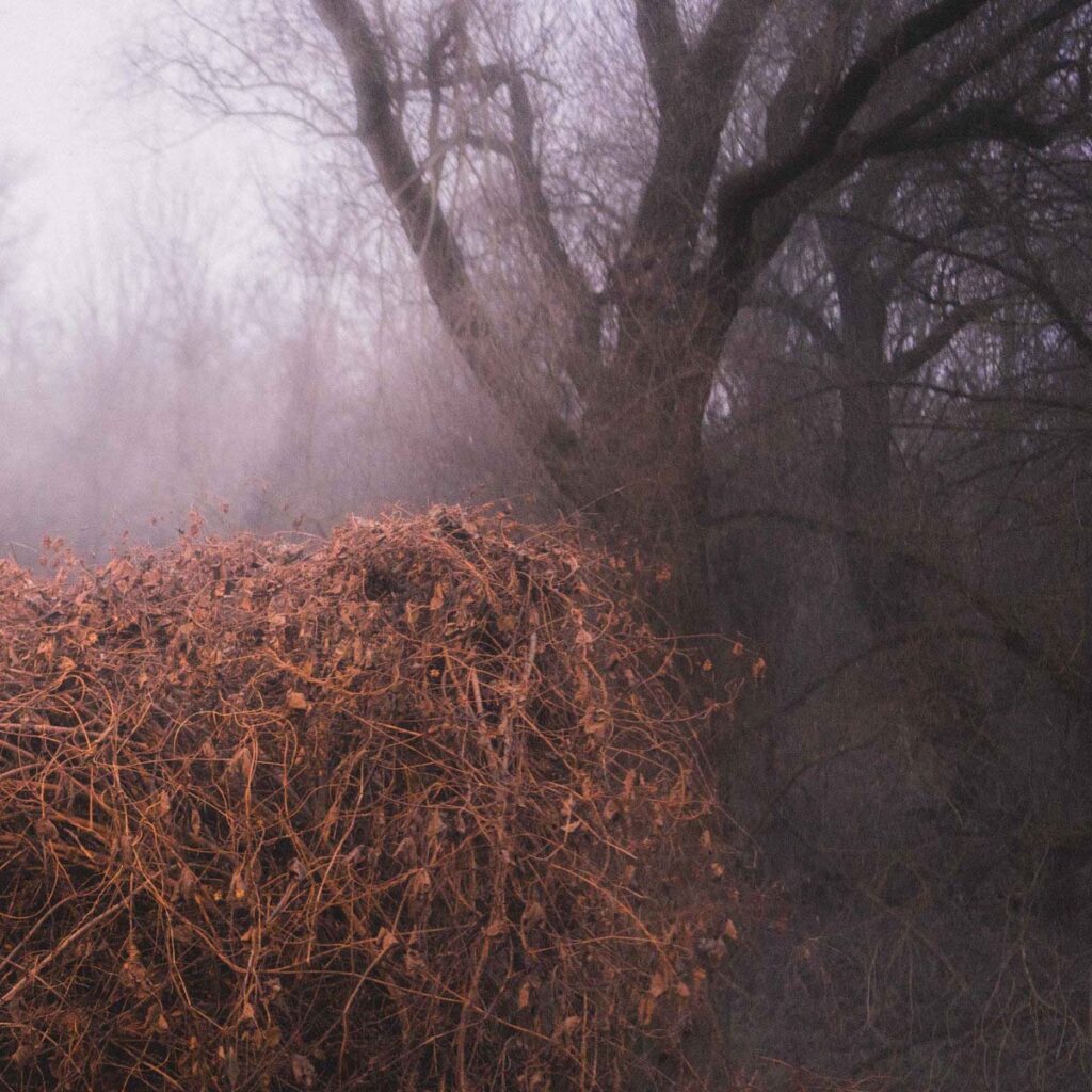 Hungarian dark folk act The Devil’s Trade announces new album »Nincs ...