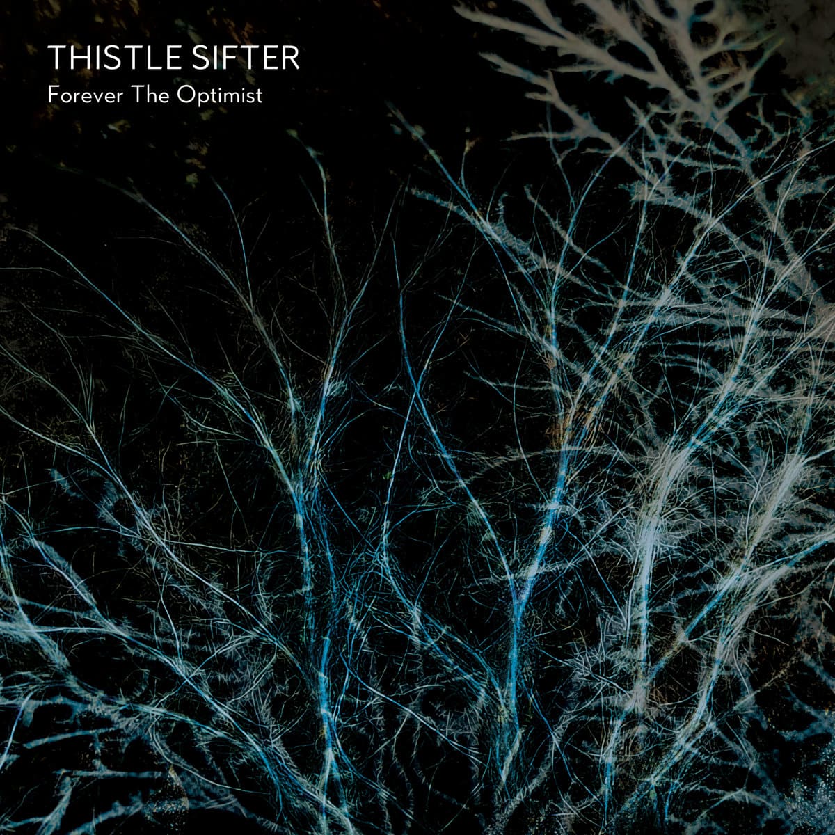 Instrumental post-rock project Thistle Sifter announces new studio ...