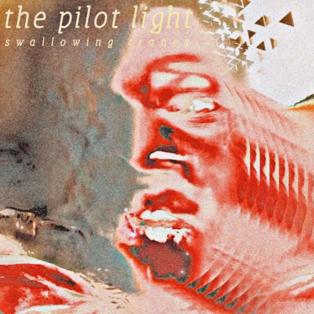 Canadian experimental psychedelic/post-rock trio The Pilot Light ...