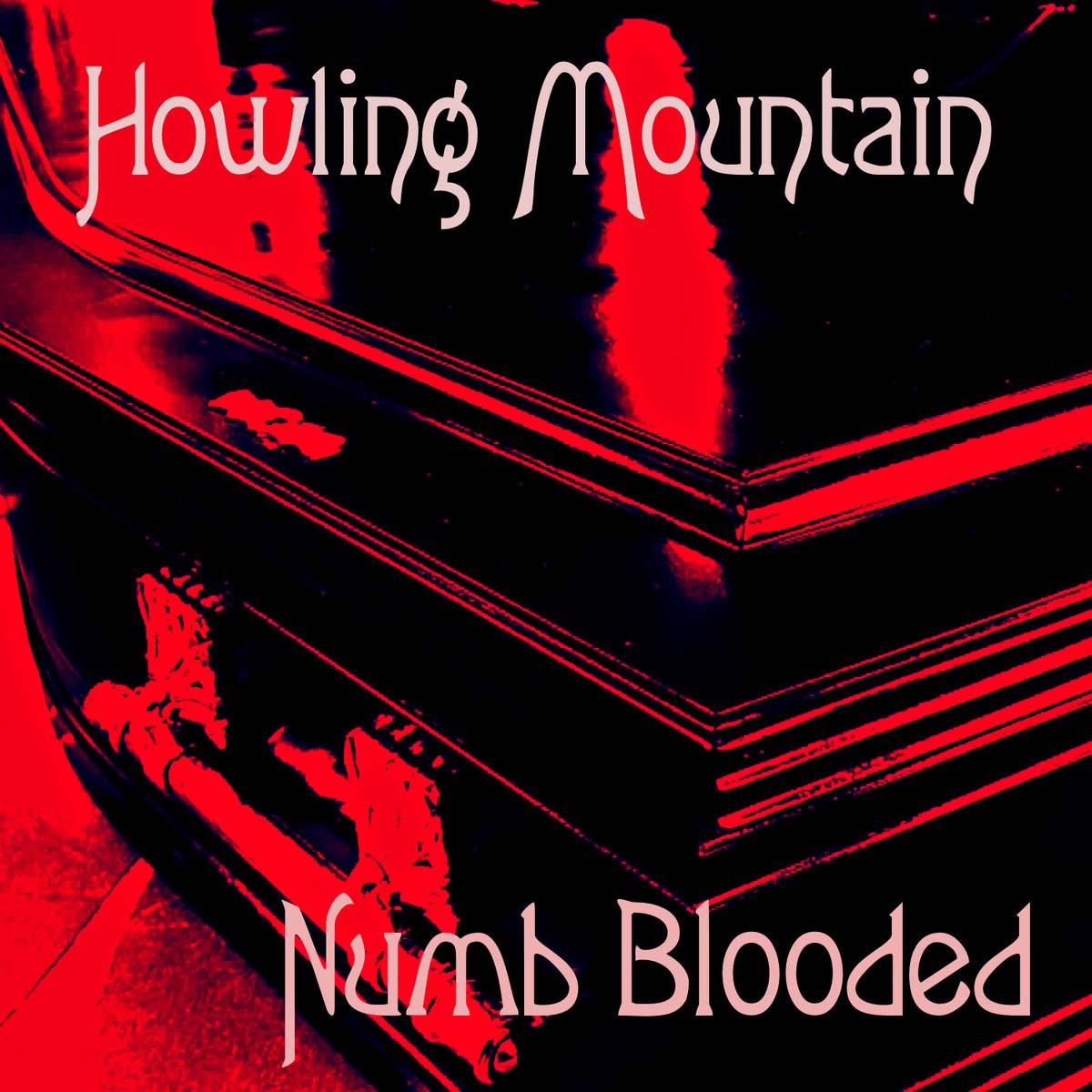 Australian stoner/grunge/heavy rock trio Howling Mountain launch new ...